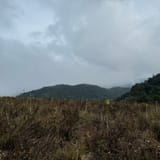 Gunung Yong Belar, Kelantan, Malaysia - 74 Reviews, Map | AllTrails