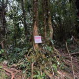 Gunung Yong Belar, Kelantan, Malaysia - 74 Reviews, Map | AllTrails