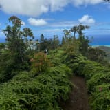 Kuliʻouʻou Ridge Trail, Oahu, Hawaii - 8,821 Reviews, Map | AllTrails