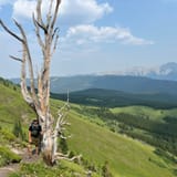Raspberry Ridge Lookout Loop, Alberta, Canada - 602 Reviews, Map ...