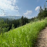 Raspberry Ridge Lookout Loop, Alberta, Canada - 602 Reviews, Map ...