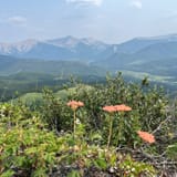 Raspberry Ridge Lookout Loop, Alberta, Canada - 602 Reviews, Map ...