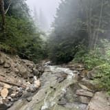 Ira Spring Memorial Trail, Washington - 2,329 Reviews, Map | AllTrails