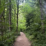Ira Spring Memorial Trail, Washington - 2,376 Reviews, Map | AllTrails