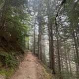 Ira Spring Memorial Trail, Washington - 2,329 Reviews, Map | AllTrails