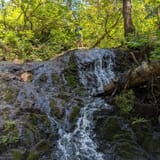 Mima Falls East Trail, Washington - 2,032 Reviews, Map | AllTrails