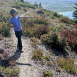 Windy Ridge Trail, Washington - 120 Reviews, Map | AllTrails