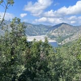 Windy Ridge Trail, Washington - 120 Reviews, Map | AllTrails