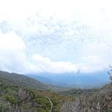 Mount Ulu Sepat, Perak, Malaysia - 16 Reviews, Map | AllTrails