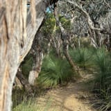 Point Addis and Bells Beach Loop Trail, Victoria, Australia - 545 ...
