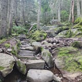 Mount Hunger via Waterbury Trail, Vermont - 1,573 Reviews, Map | AllTrails