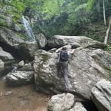 Stiles Falls, Virginia - 625 Reviews, Map | AllTrails