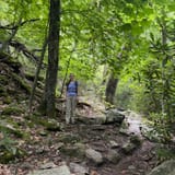 Stiles Falls, Virginia - 625 Reviews, Map | AllTrails