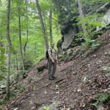 Stiles Falls, Virginia - 625 Reviews, Map | AllTrails