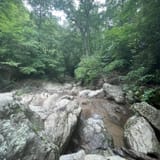 Stiles Falls, Virginia - 625 Reviews, Map | AllTrails