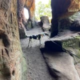 Kinver Edge Circular, West Midlands, England - 745 Reviews, Map | AllTrails