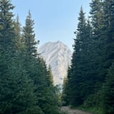 Edworthy Falls via Elbow Lake Trail, Alberta, Canada - 1,987 Reviews ...