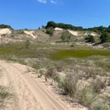 Warren Dunes Trail, Michigan - 1,476 Reviews, Map | AllTrails