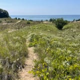 Warren Dunes Trail, Michigan - 1,412 Reviews, Map | AllTrails