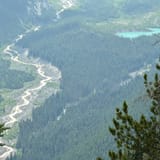 Silver Forest Trail, Washington - 539 Reviews, Map | AllTrails