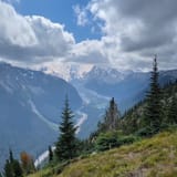 Silver Forest Trail, Washington - 566 Reviews, Map | AllTrails