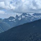 Silver Forest Trail, Washington - 566 Reviews, Map | AllTrails