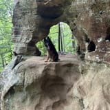 Hidden Arch Trail, Kentucky - 1,248 Reviews, Map | AllTrails