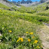 Handies Peak via American Basin Trail, Colorado - 1,203 Reviews, Map ...