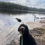 Arcola Bluffs Trail, Minnesota - 192 Reviews, Map | AllTrails