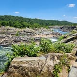 Matildaville Trail, Virginia - 205 Reviews, Map | AllTrails