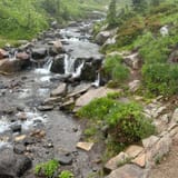 Myrtle Falls Viewpoint via Skyline Trail, Washington - 4,693 Reviews ...