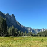 Sentinel Meadow Cook's Meadow Loop Trail, California - 3,712 Reviews ...
