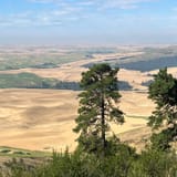 Kamiak Butte Trail, Washington - 766 Reviews, Map | AllTrails