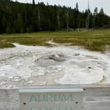 Geyser Hill Loop Trail and Observation Point, Montana - 643 Reviews ...