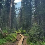 Sarrail Ridge via Rawson Lake Trail, Alberta, Canada - 3,094 Reviews ...