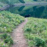 Desolation Lake via Mill D North Fork and Desolation Trail, Utah ...