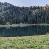 Desolation Lake via Mill D North Fork and Desolation Trail, Utah ...