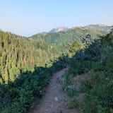 Desolation Lake via Mill D North Fork and Desolation Trail, Utah ...