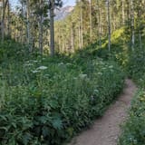 Desolation Lake via Mill D North Fork and Desolation Trail, Utah ...