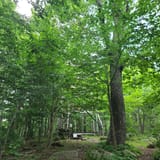 Mount Tremper Trail, New York - 1,662 Reviews, Map | AllTrails