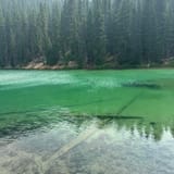 Devils Lake Trail, Oregon - 210 Reviews, Map | AllTrails