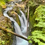 Sol Duc Falls Trail, Washington - 5,657 Reviews, Map | AllTrails