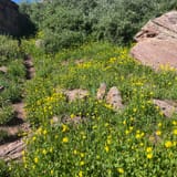 Shrine Ridge Trail, Colorado - 3,318 Reviews, Map | AllTrails