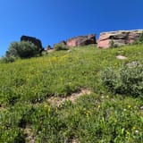 Shrine Ridge Trail, Colorado - 3,318 Reviews, Map | AllTrails