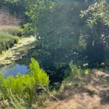 Back Bay Loop Trail, California - 2,410 Reviews, Map | AllTrails