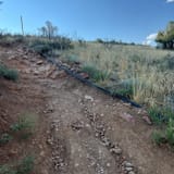 Mount Morrison Trail, Colorado - 6,377 Reviews, Map | AllTrails