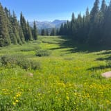 Shrine Ridge Trail, Colorado - 3,318 Reviews, Map | AllTrails