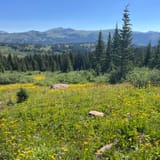 Shrine Ridge Trail, Colorado - 3,318 Reviews, Map | AllTrails