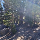 Tamarack Peak Loop, Nevada - 1,083 Reviews, Map | AllTrails