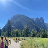 Sentinel Meadow Cook's Meadow Loop Trail, California - 3,712 Reviews ...